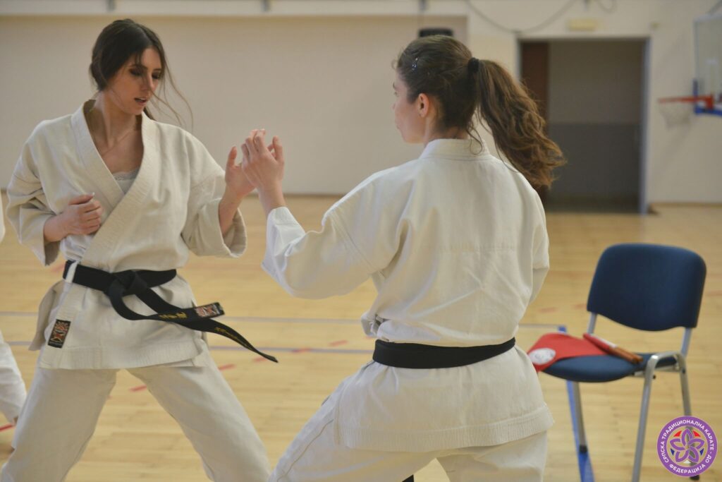 Kihon – Osnovne tehnike - STKF